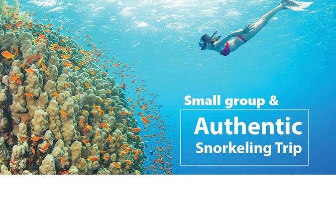 PREMIUM snorkel & islands hopping by SPEEDBOAT-Seafood BBQ(MAX12) - What’s Included and What’s Not