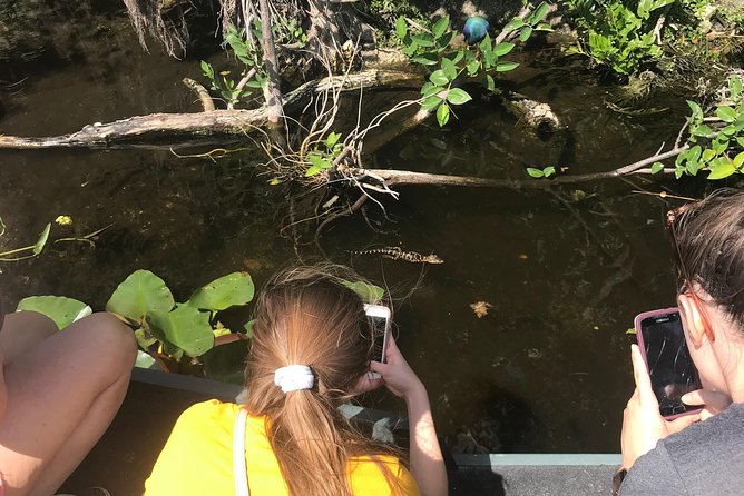 Private 1.5-Hour Airboat Tour of Miami Everglades - Wildlife Encounters in the Everglades