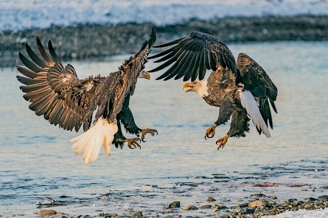 Private Group Eagle Preserve Float Trip in Haines - Unique Aspects of a Private Group Experience