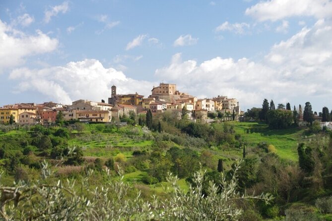 Private Guided Tour to Pisa and Local Wine Farm From Livorno - Customer Reviews and Feedback