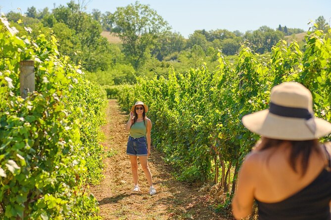 Private Half-Day Tour From Florence to Chianti Wine Region - Itinerary Highlights