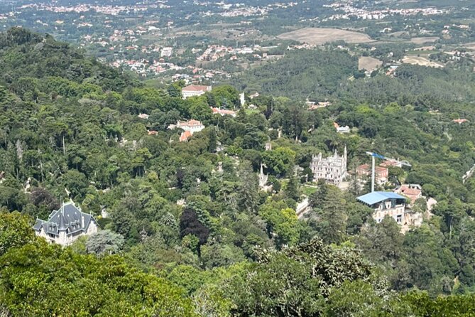 Private Half-Day Tour to Sintra - Authenticity and Personalized Experience