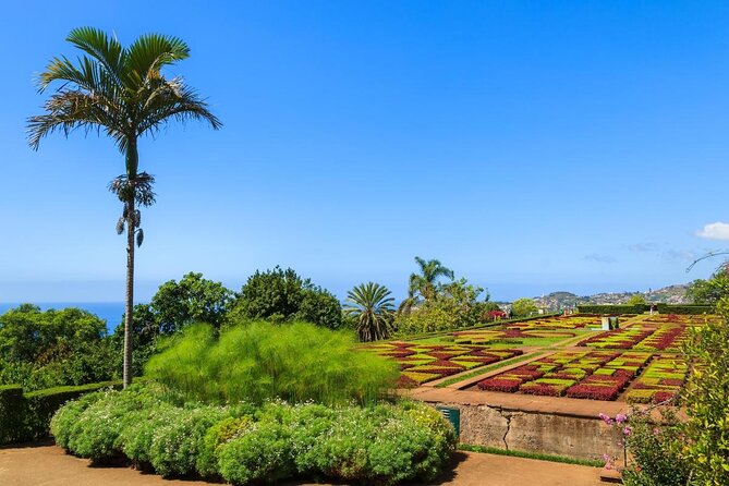 Private Halfday Madeira Garden Tour - Convenient Transportation