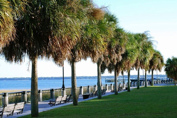 Private Historic Horse & Carriage Tour of Charleston - Carriage and Guides
