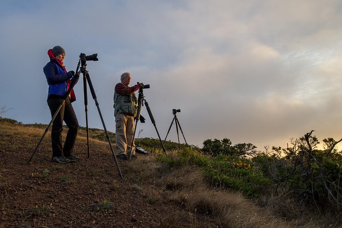 Private San Francisco Sunset Photography Experience - The Experience in Detail