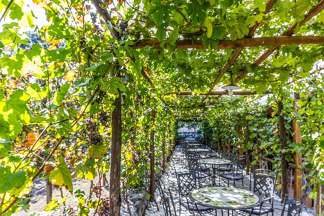 Private tour of Pompeii Ruins, Organic Wine tasting and Lunch - The Value and Practicalities