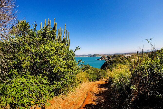 Private Walk Through the Natural Pools in Búzios - Meeting and Transportation