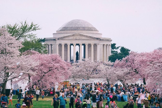Private Washington DC City Tour - What Makes This Tour Stand Out?