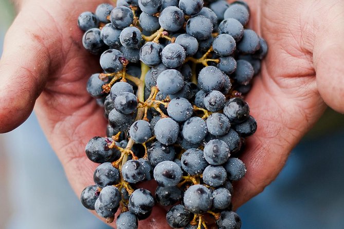 Private Wine Tour with Tastings from Eugene - Why This Tour Stands Out