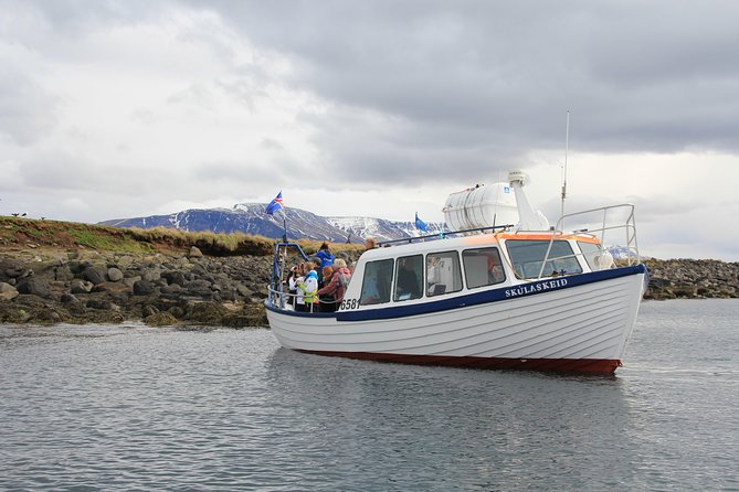 Puffin Cruise with Expert Tour Guide from Reykjavik - What You Can Expect on the Tour