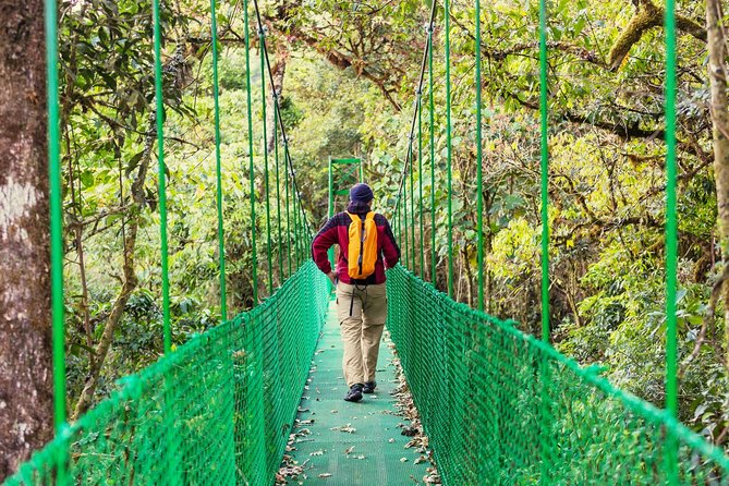 Puntarenas Shore Excursion: Rainforest Skywalk & Tarcoles River - Tarcoles River Cruise