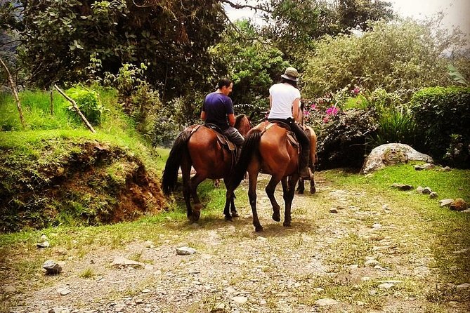 Queveri Horseback Riding Tours - Meeting and Pickup