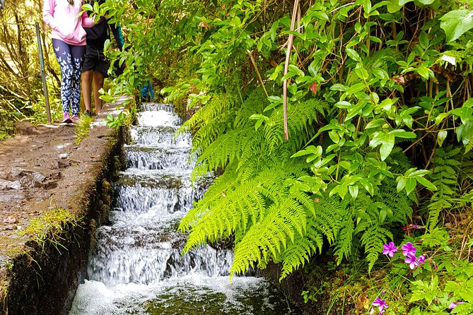 Rabaçal 25 Fontes Levada Walk in Small Groups - Highlights of the 25 Fontes and Risco Waterfalls