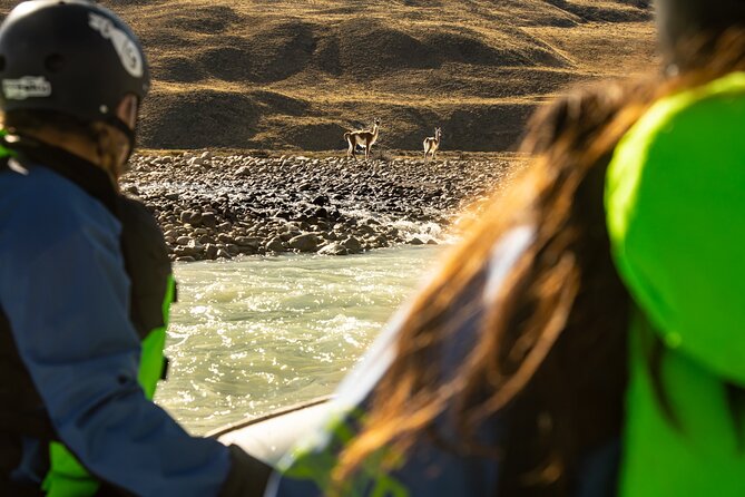 Rafting Experience on the Rio De Las Vueltas in Patagonia - Safety and Accessibility Considerations