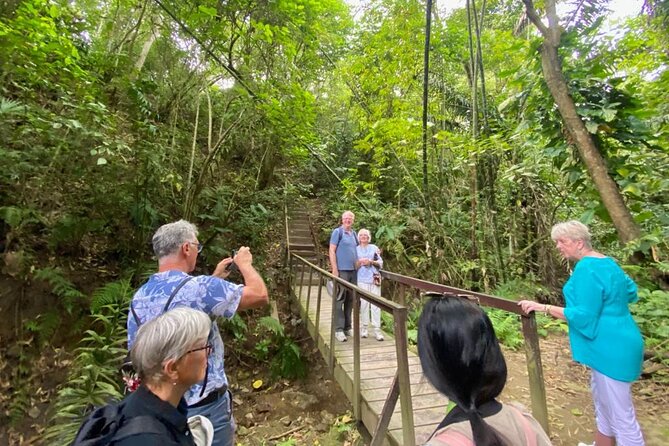 Rainforest Wildlife, Panama Hat Makers, Traditional Cuisine. SHORE TOUR - Highlights of the Itinerary