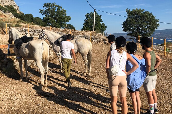 Ranch 22 Podstrana, Horse Riding 12 Km From SPLIT - Guided Horseback Riding Experience