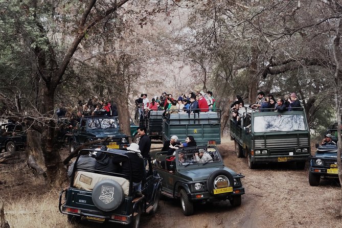 Ranthambore Tiger Safari In Canter 20 Seater All Inclusive visits - Booking and Practical Considerations