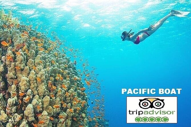 Real snorkel trip to explore Cham island by speedboat-SMALL GROUP - What Travelers Love About This Tour