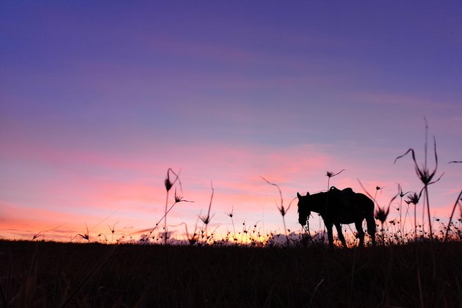 Ride to the Highest Point on the Island for Sunset - Meeting and Pickup Details