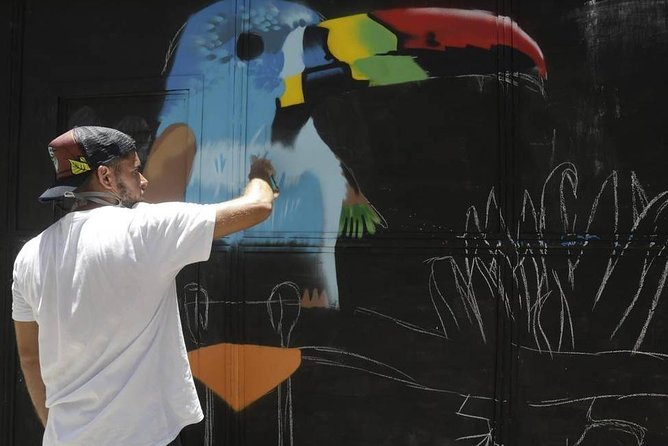 Rio Street Art Tour - Highlights of the Rio Street Art Tour