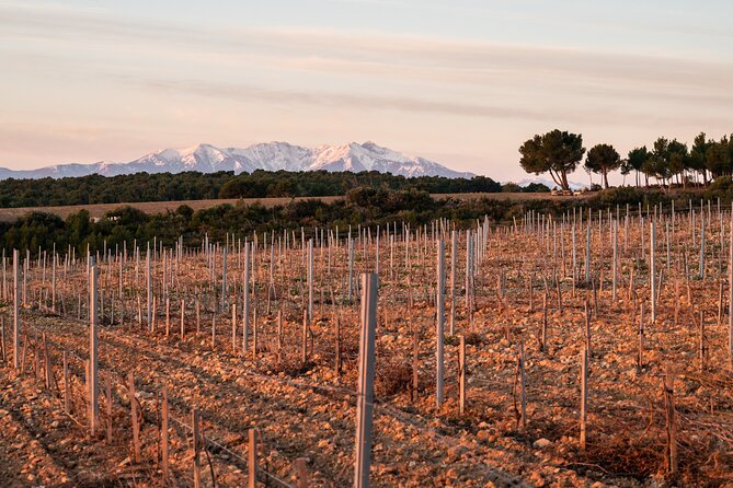 Rivaltes – Secrets of the Terroir and Tasting of Unique Wines! - Additional Information
