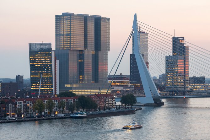 Rotterdam, Delft and the Hague Guided Tour From Amsterdam - Positive Tour Experiences and Feedback