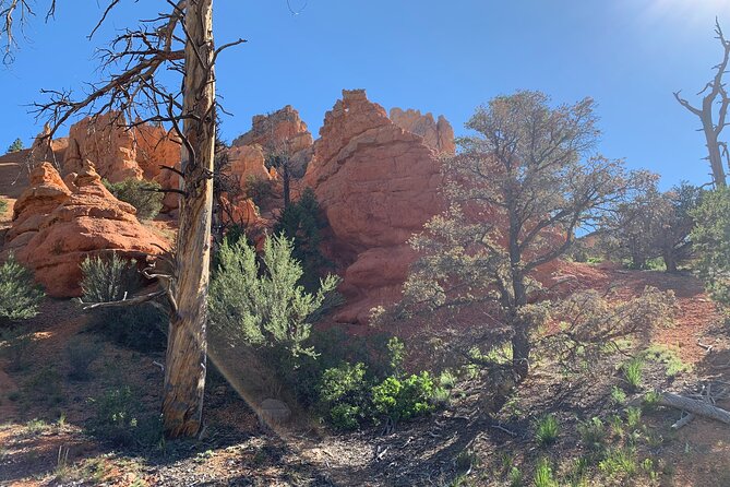 Rubys Horseback Adventures Utah Half Day Ride - Tour Details and Inclusions