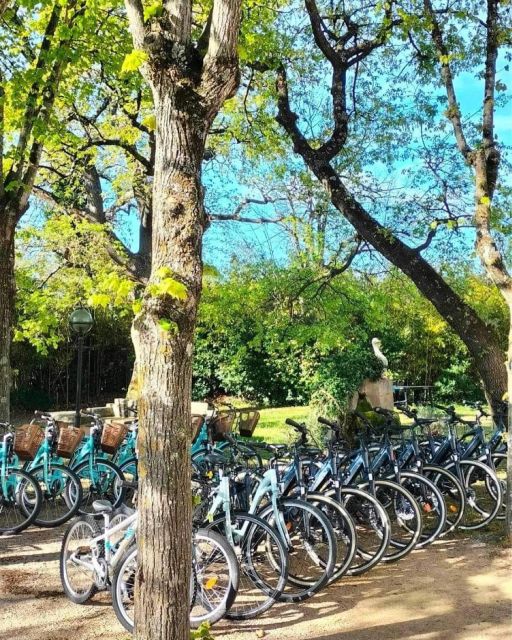 Saint-Aygulf: Bike Rental - Location and Scenic Highlights