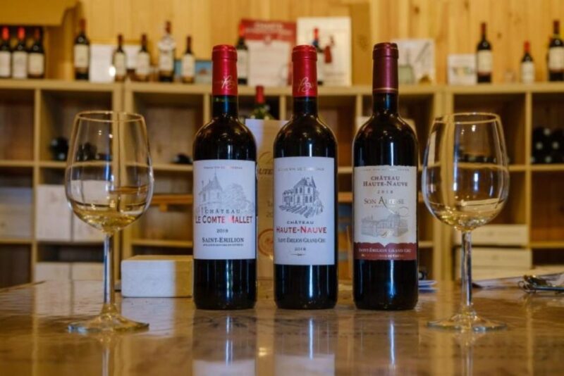 Saint-Émilion: Family Vineyard Visit With Wine Tasting - Vineyard History and Grape Varieties