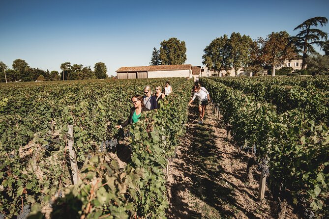 Saint-Emilion Small Group Day Tour With Wine Tastings & Lunch - Wine Tasting Adventures