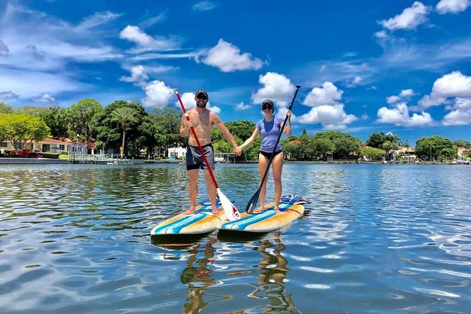 Saint Petersburg Paddle Board Tour - The Itinerary and What to Expect