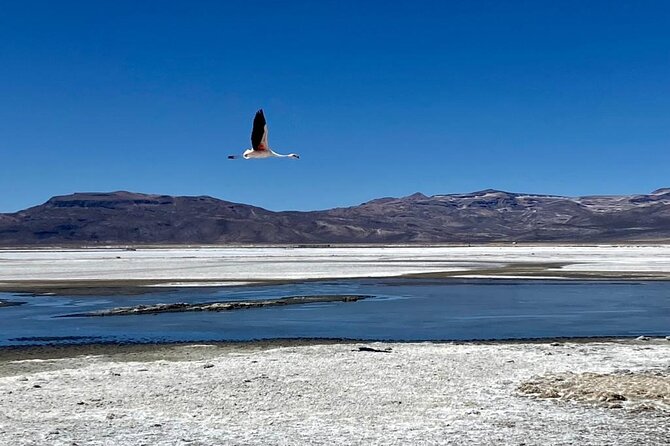Salinas Lake - National Reserve PRIVATE TOUR - Pricing and Booking Information