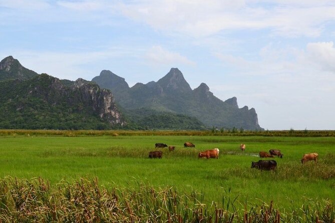 Sam Roi Yod National Park & Praya Nakhon Cave Private Tour from Hua Hin - Frequently Asked Questions