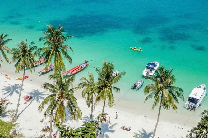Samui Boat Charter, Private Speedboat Charter, Angthong National Marine Park - Who Should Consider This Tour?