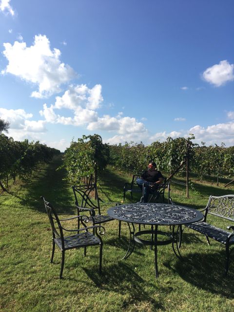 San Antonio: Fredericksburg Wineries Day Trip with Tastings - What to Expect on the Tour