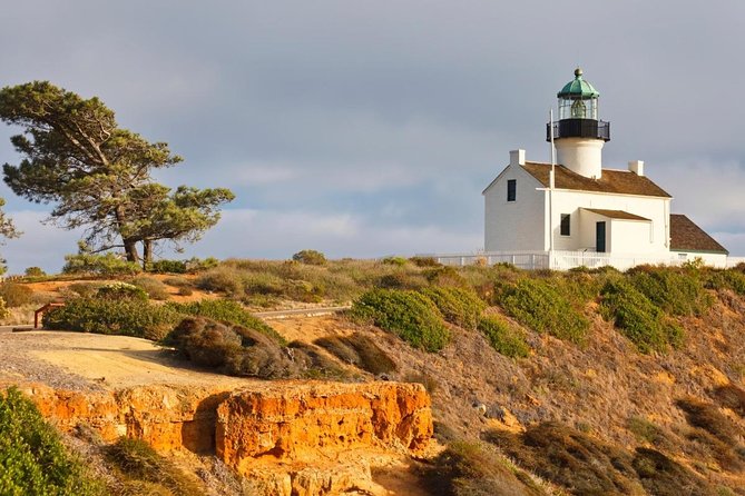 San Diego Whale Watching Cruise - An In-Depth Look at the San Diego Whale Watching Cruise