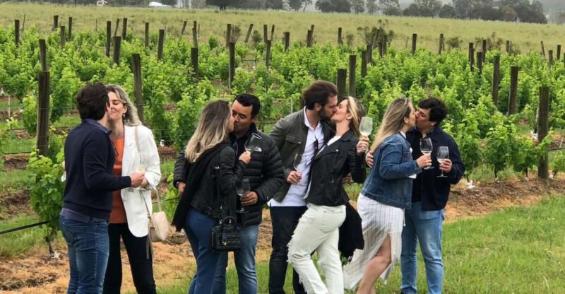 San Francisco: Napa Valley Half-Day Wine Tour with Tastings - Transportation, Guides, and Value