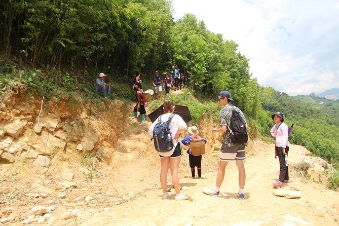 Sapa 1-Day Trek: Hidden Valleys & Rice Terraces - The Itinerary: What to Expect at Every Step