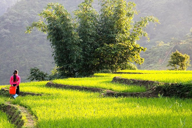 Sapa Valley Trek and Homestay - 3D2N - The Highlights That Keep Travelers Coming Back
