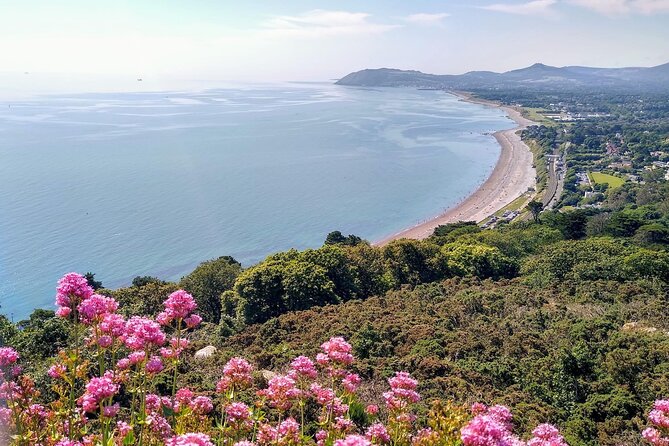 Scenic Coastal Dublin Walking Tour Review - Tour Experience and Guide