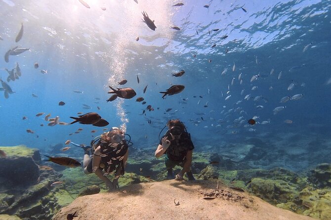 Scuba Diving Experience + Free Edited Video - Positive Feedback From Satisfied Customers
