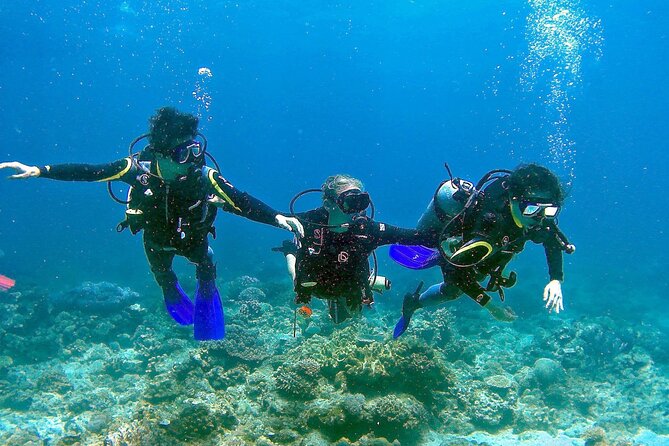 Scuba Diving for Beginners in Pula - Getting Acquainted With Scuba Gear