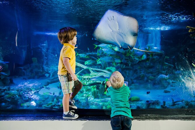 SEA LIFE Orlando Aquarium - What the Reviews Say: Authentic Perspectives