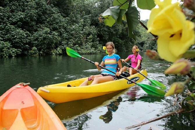 Secret Falls Kayak and Hike in Kauai - Who Is This Tour Best For?