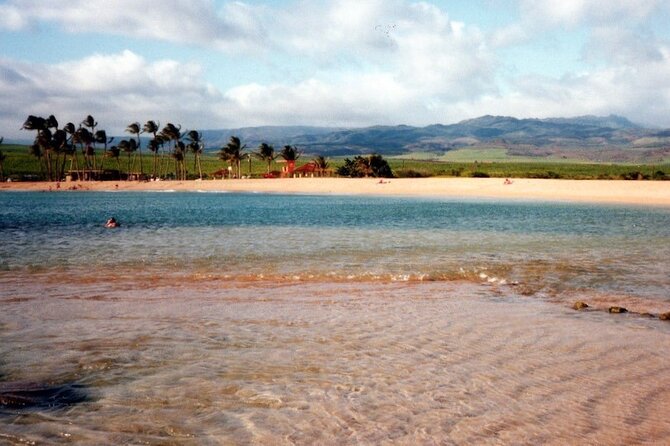 Secret Kauai Canyons & Coastlines Tour - The Review Summary: What Travelers Are Saying