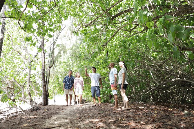 Secret Oahu Full Circle Island Tour With A Local Guide - Itinerary Highlights