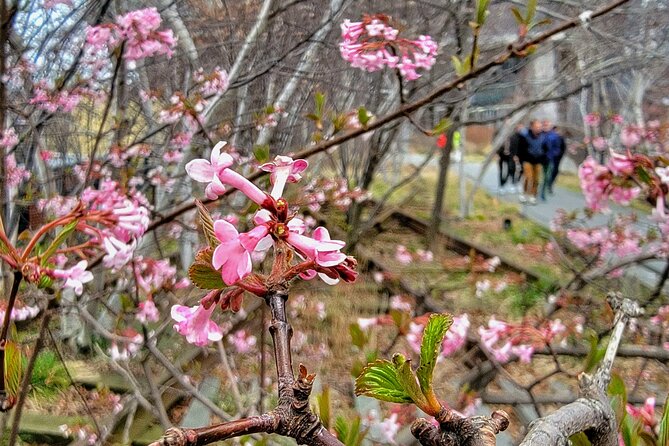 Secrets of the High Line - Who Will Love This Tour?