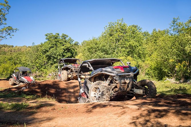 Self-drive Off Road Buggy - Scenic Highlights