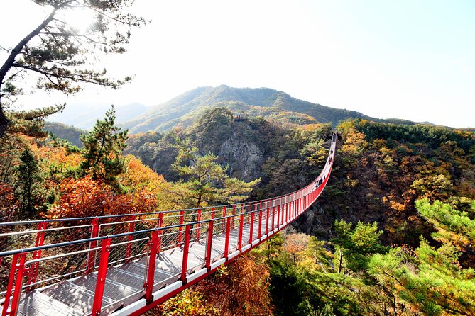 Seoul DMZ Tour with 3rd Tunnel and Red Suspension Bridge - The Experience in Perspective