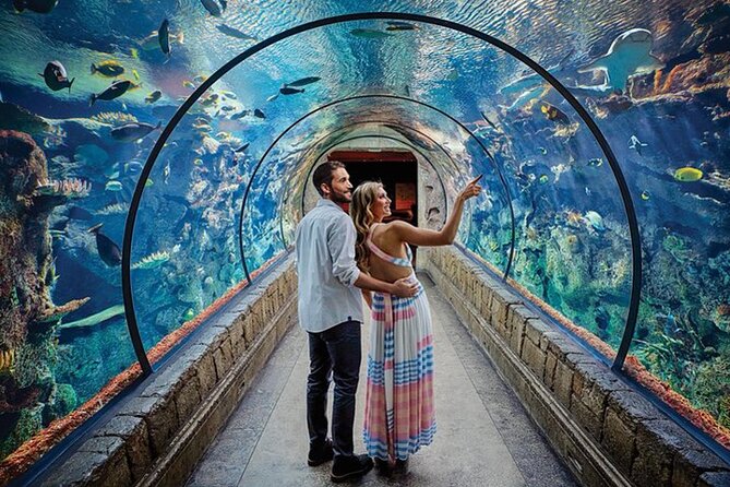 Shark Reef at Mandalay Bay Hotel and Casino - The Space and Comfort